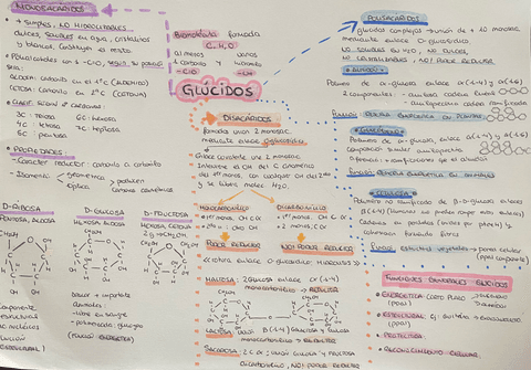 Esquema-GLUCIDOS.jpeg