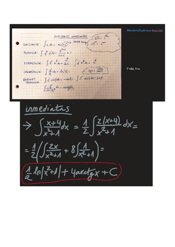 INTEGRALES.pdf