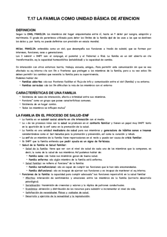 T17-comunitaria.pdf