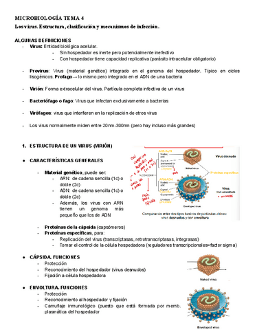 micro-tema-4-virus.pdf