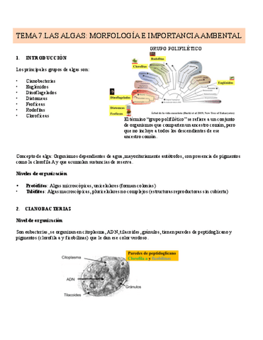 TEMA-7.-ALGAS.pdf