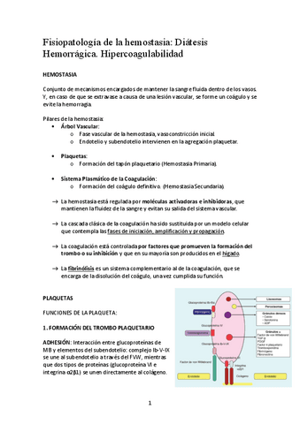 Fisiopatologia-de-la-hemostasia.Diatesis-hemorragica.pdf