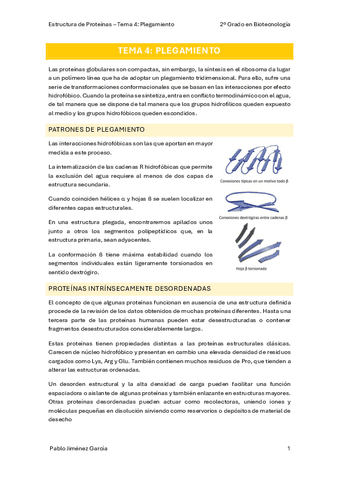 Tema-4.-Plegamiento.pdf