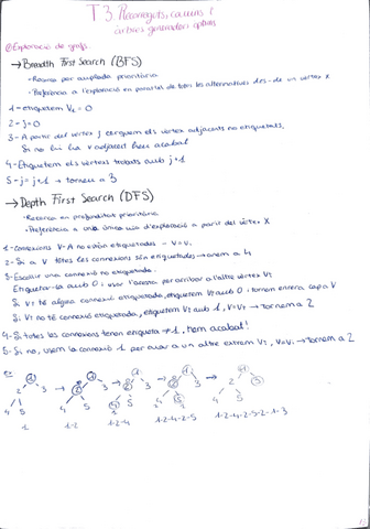 MD-T3.-Recorreguts-camins-i-arbres-generadors-optims-apunts.pdf