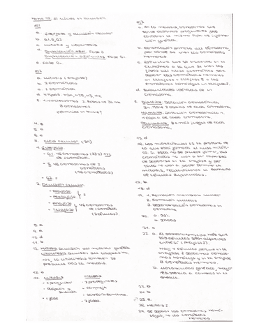 autoevaluacion-tema-10.pdf