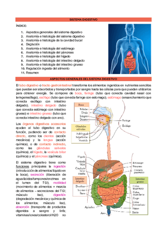 tema-5-estructura-y-funcion-III.pdf