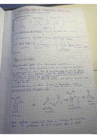 Practica-4-corregida-y-con-cuestiones-resueltas.pdf