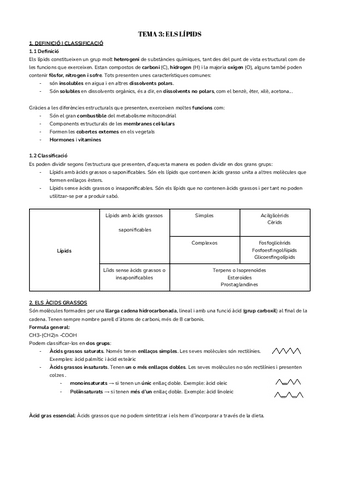tema-3-els-lipids.pdf