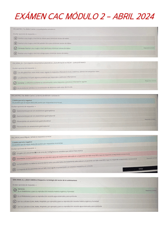 EXAMEN-CAC-MODULO-2-ABRIL-2024.pdf