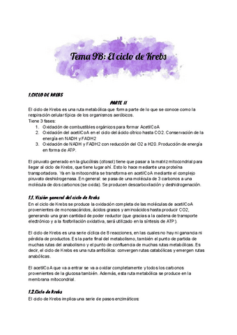 Tema-9B-El-ciclo-de-Krebs.pdf