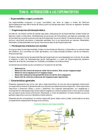 Tema-9.-Introduccion-a-las-Espermatofitas.pdf