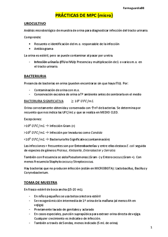PRACTICAS-MPC-parte-MICRO.pdf