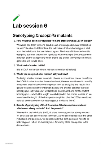 Lab-session-6.pdf