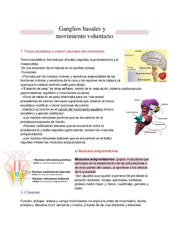T.20-Ganglios-basales-y-movimiento-voluntario.pdf