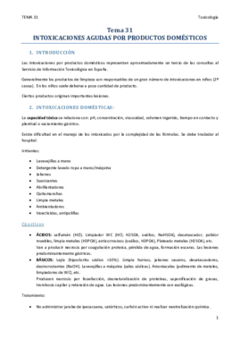 TEMA 31.pdf