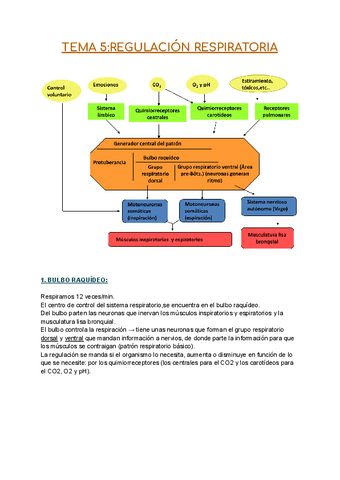 TEMA-5-AP.RESPIRATORIO.pdf