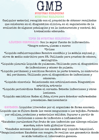 GMB-2-evaluacion-202404202039320000.pdf