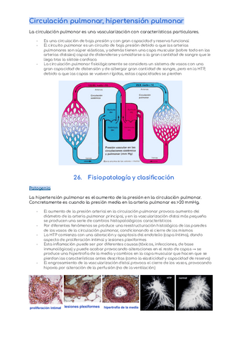 Hipertension-arterial-y-tromboembolismo-pulmonar.pdf