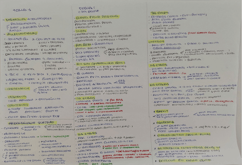 ESQUEMAS-EXAMEN-FINAL-importante.pdf