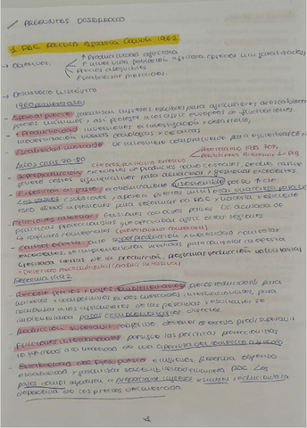 PREGS-DESARROLLO-EXAMEN-FINAL.pdf