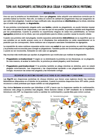 biologia-molecular-T17.pdf
