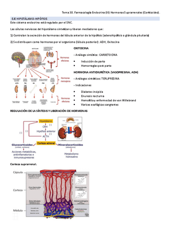 tema-30-farma-completo.pdf
