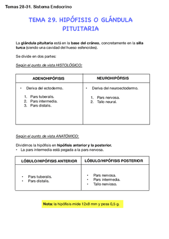 T29.-Hipofisis.pdf
