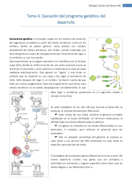 Tema 4. Ejecución del programa genético del desarrollo.pdf