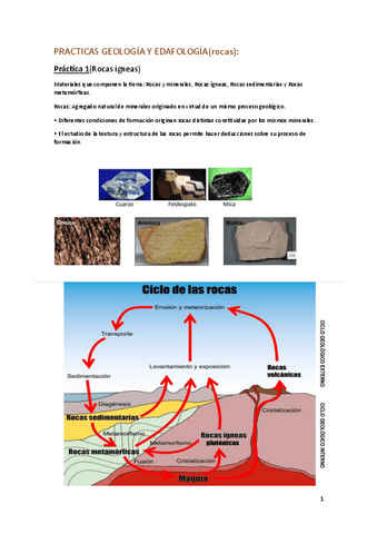 PRACTICAS-ROCAS-Y-FOSILES.pdf