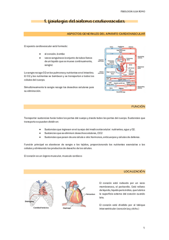 T1.-FISIO-JULIA-ROMO.pdf