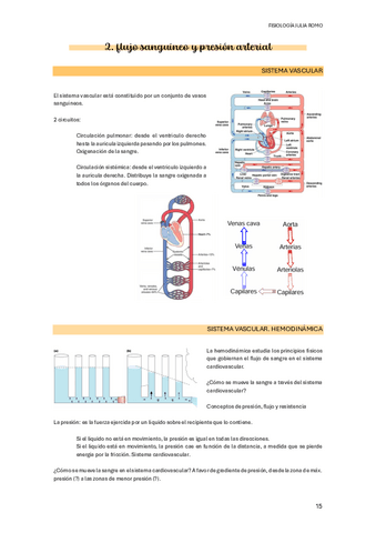 T2.-FISIO-JULIA-ROMO.pdf