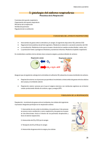 T3.-FISIO-JULIA-ROMO.pdf