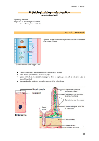 T6.-FISIO-JULIA-ROMO.pdf