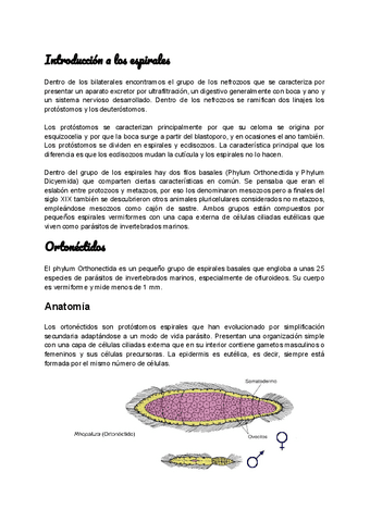 TEMA-5-Espirales-basales-y-quetognatos.pdf
