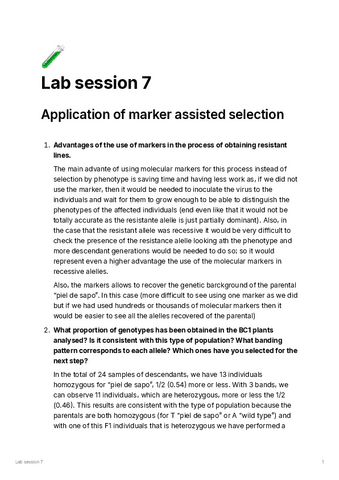 Lab-session-7.pdf