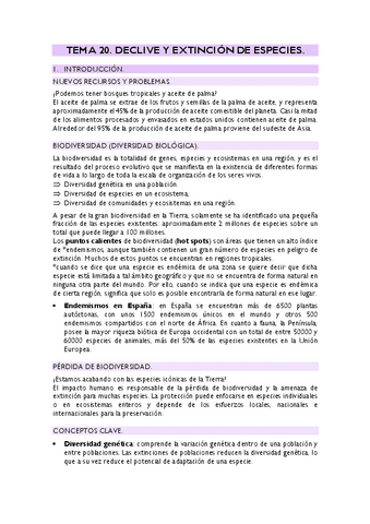 TEMA-20.pdf