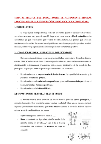 AP-Ecologia-Aplicada-Tema-9-WH.pdf