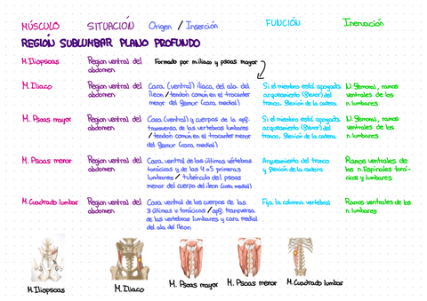 Region-sublumbar.pdf