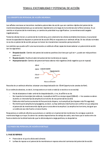 TEMA-6-EXCITABILIDAD-Y-POTENCIAL-DE-ACCION.pdf