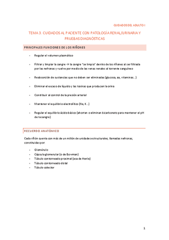 RESUMEN-TEMA-3.pdf