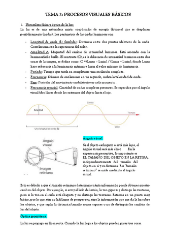 TEMA-2-PROCESOS-VISUALES-BASICOS.pdf