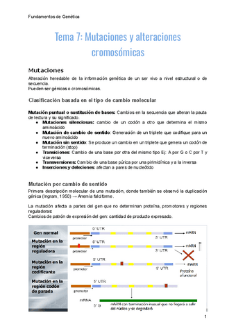 tema-7-genetica.pdf