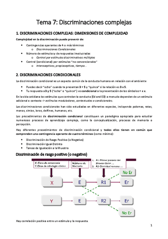 Tema-7-acc.pdf