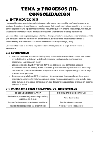 TEMA-7.-PROCESOS-II.-CONSOLIDACION.pdf