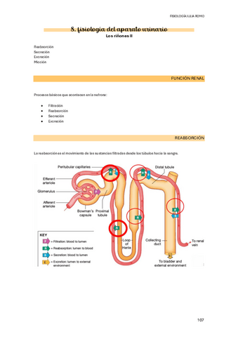 T8.-FISIO-JULIA-ROMO.pdf