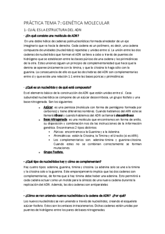 PRACTICA-TEMA-7.pdf