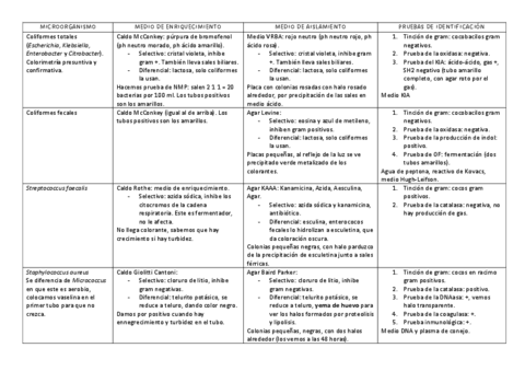 tabla-practicas-segundo-cuatri.pdf