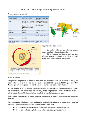 Tema-16-Clase-magnoliopsida.pdf