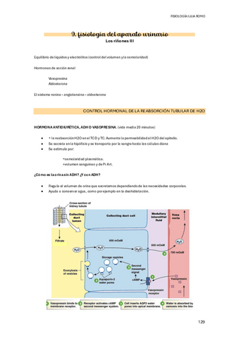 T9.-FISIO-JULIA-ROMO.pdf
