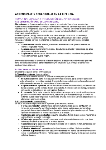Resumen-completo-Aprendizaje-y-Desarrollo-en-la-Infancia..pdf